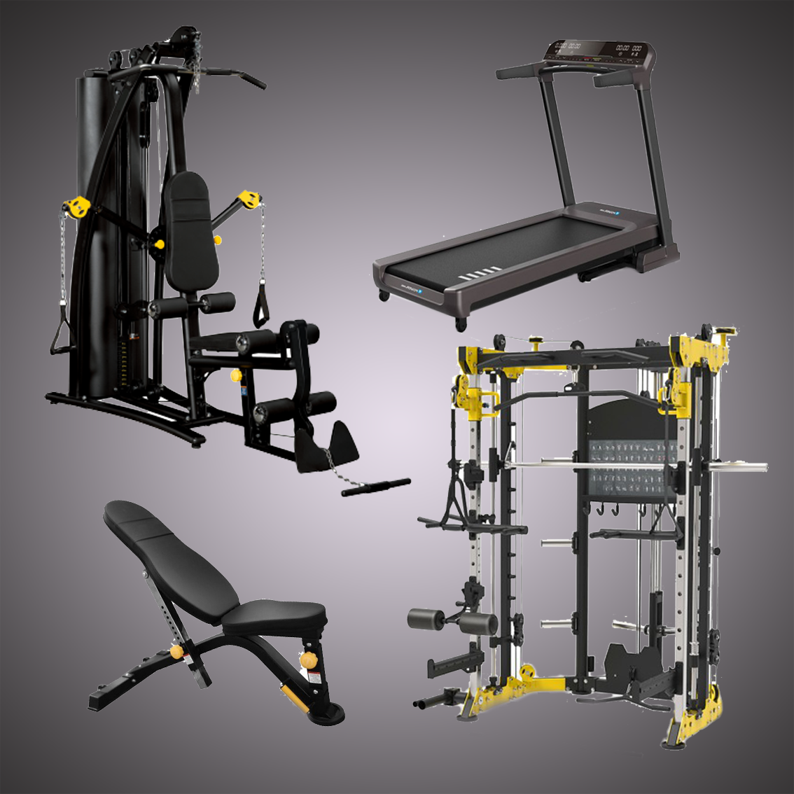 ActiveGym – Professional equipment for your fitness